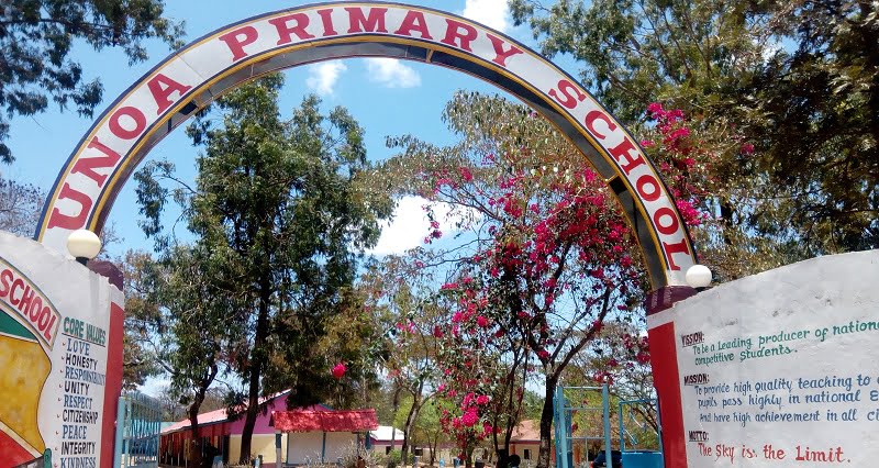 Population surges in public schools as private fold businesses ...