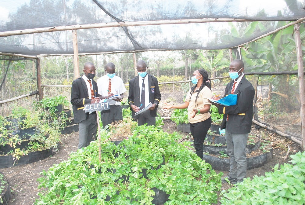 Organic farmers laud the gov’t for introducing CBC in schools ...
