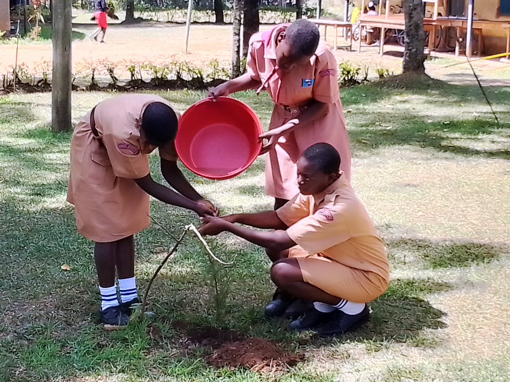 Scouts want to join efforts aimed at mitigating climate change effects ...