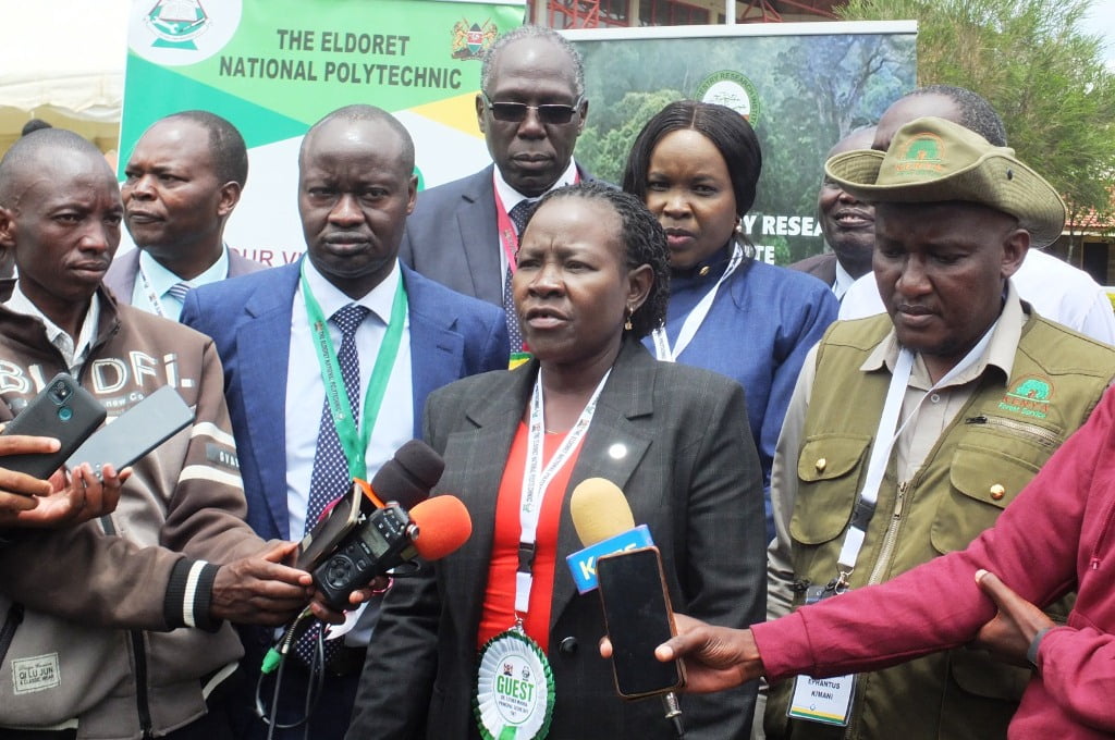 PS launches ‘TVET Greening Programme’ targeting a billion trees ...