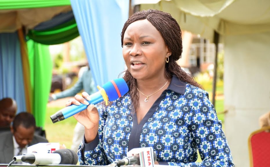 County to incorporate Scout Movement in tree planting project - Education News Kenya