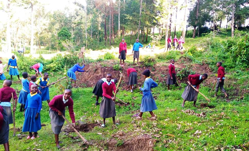 West Pokot school running six-acre forest hungry to plant more trees ...