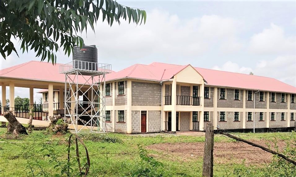 Matulo Girls students plant 500 seedlings to boost environment conservation efforts - Education ...