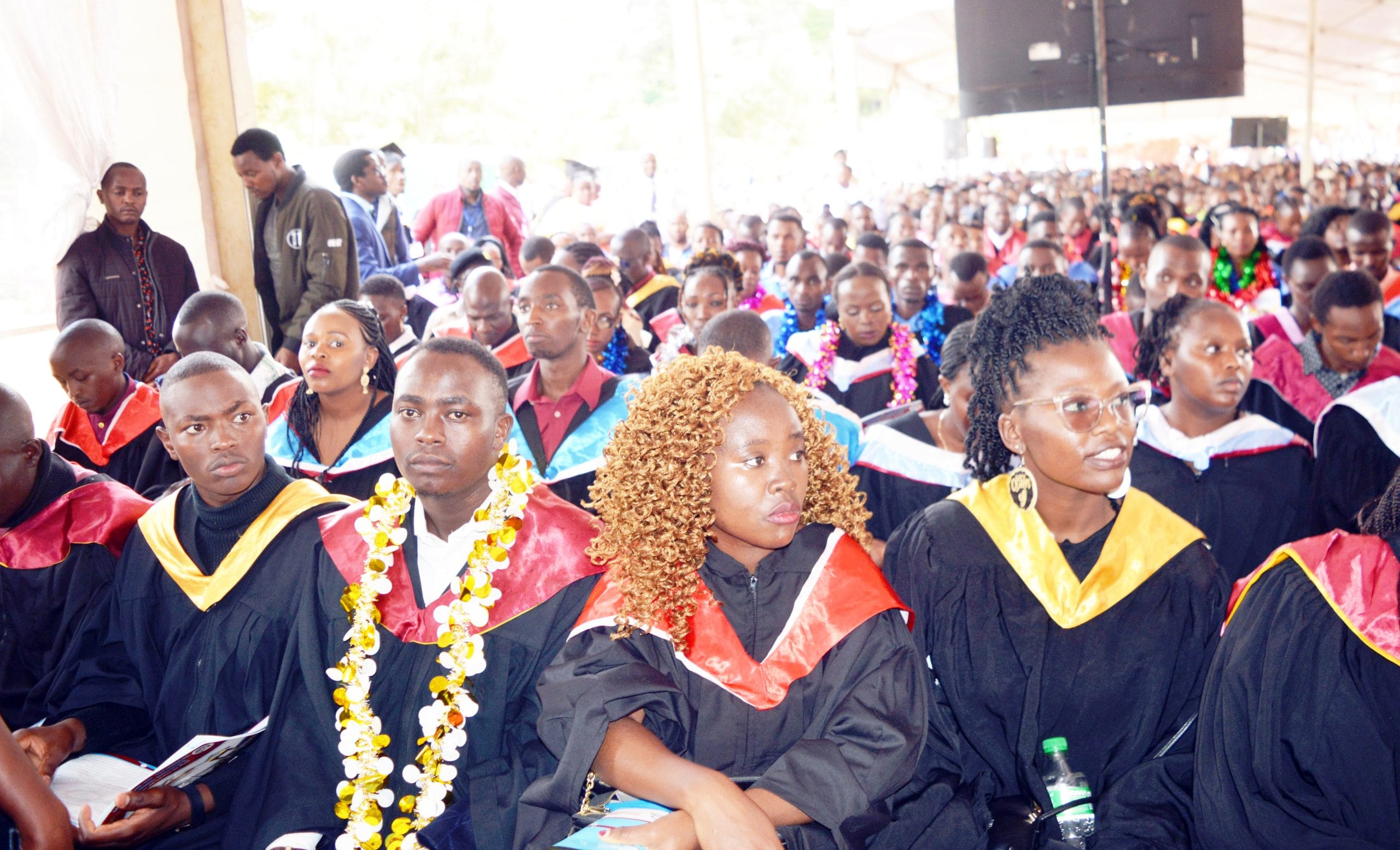 Eric Omondi launches platform for unemployed graduates | Education News ...