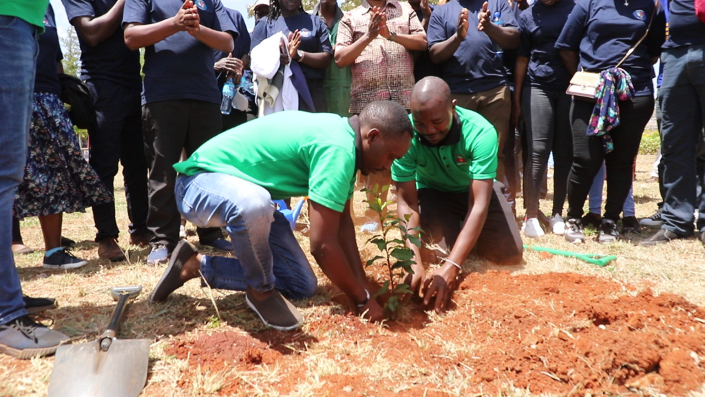 NGO rolls out partnership with all schools to plant 1.5 million trees ...