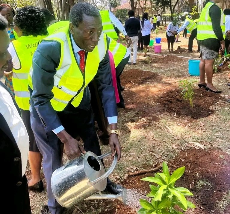 KNUT, TSC plant trees in build-up to 2023 World Teachers’ Day ...