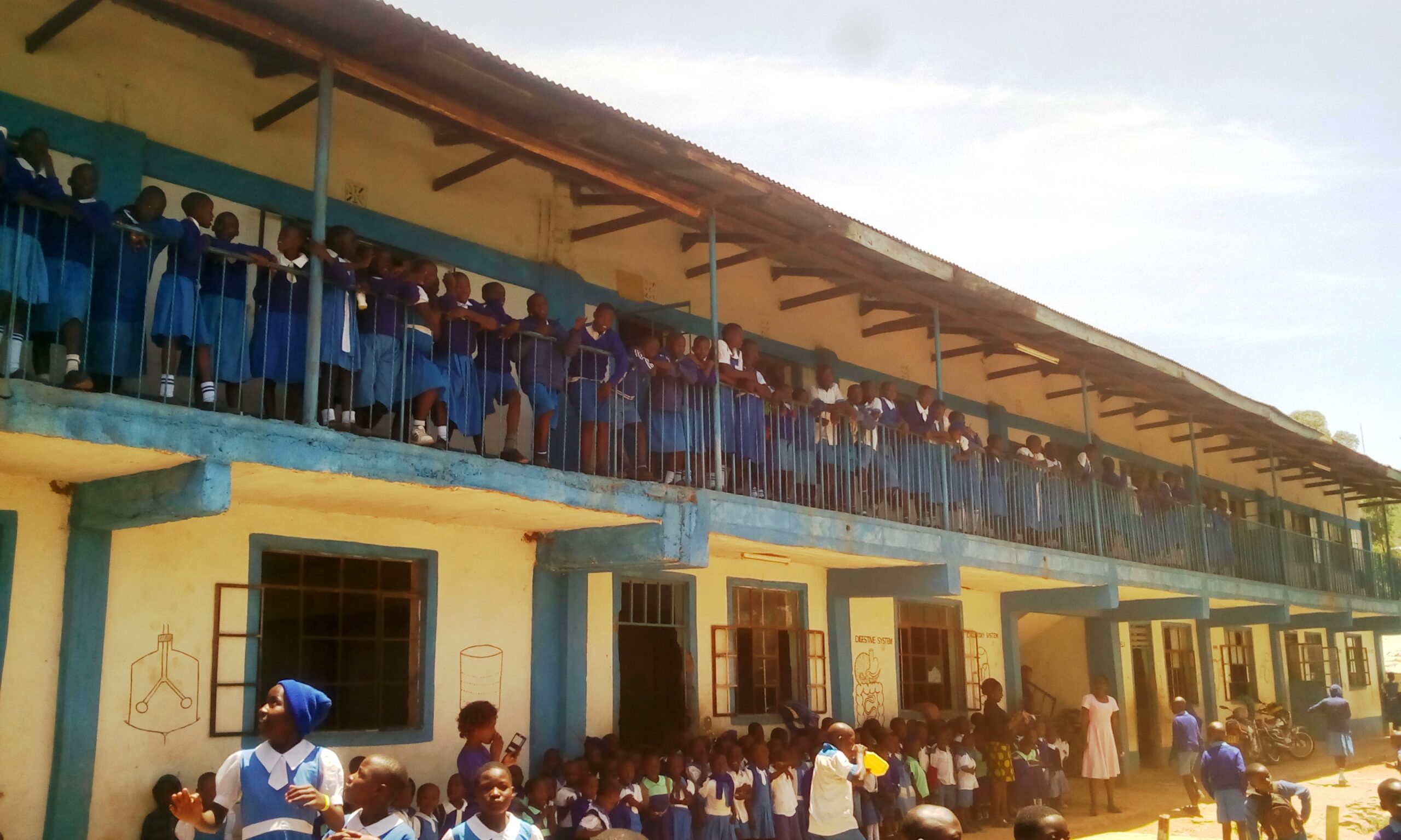 KNUT demands gazettement of all primary schools as JSS | Education News ...