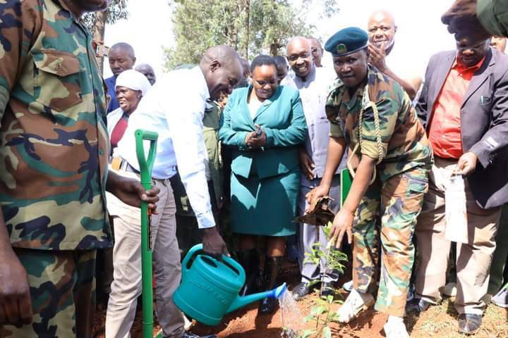 Kisii leaders unite for tree planting activity | Education News