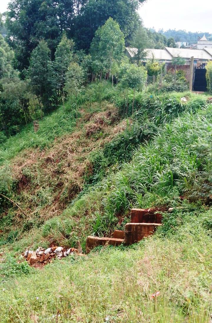 Parents ask MP for improved facilities in Irungu Special School ...