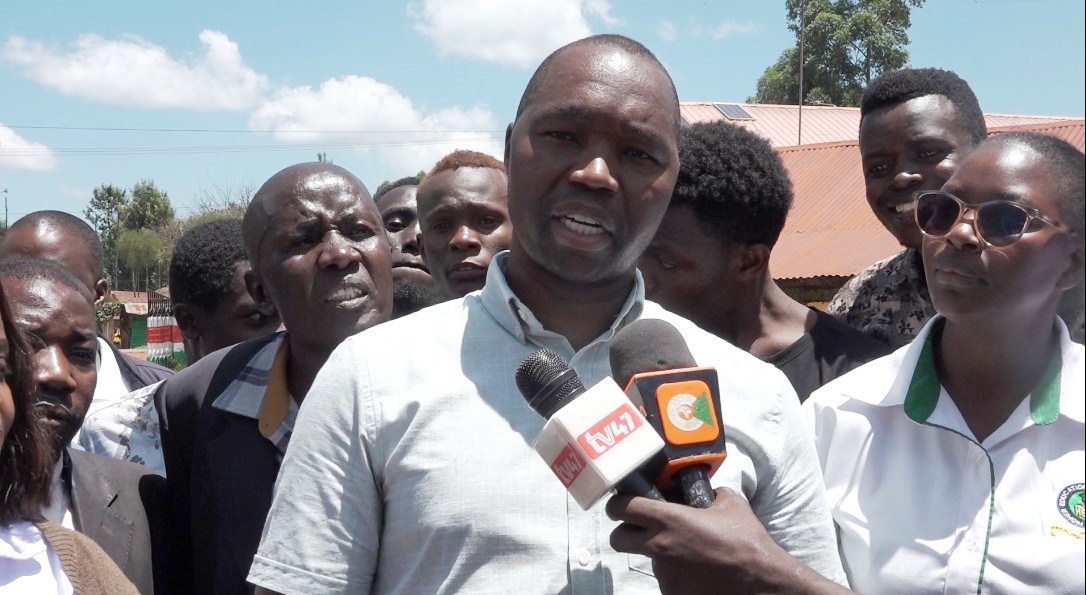 Don launches mentorship on career and course selection for college ...