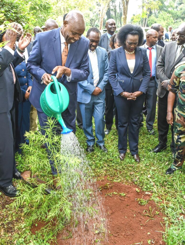 Govt to engage schools in tree-planting activities to reach forest ...