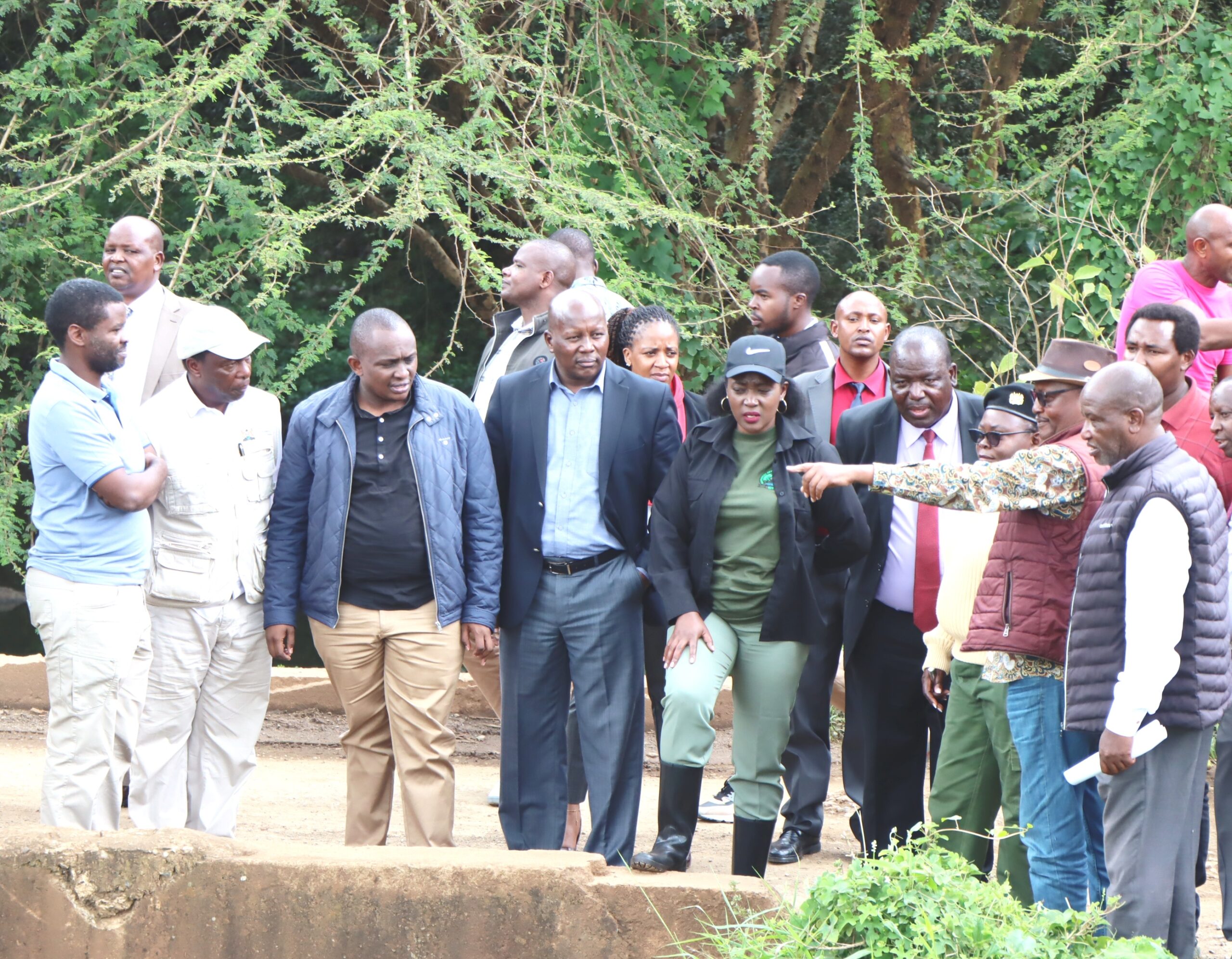 Forestry CS announces revocation of land titles to gazetted forests ...