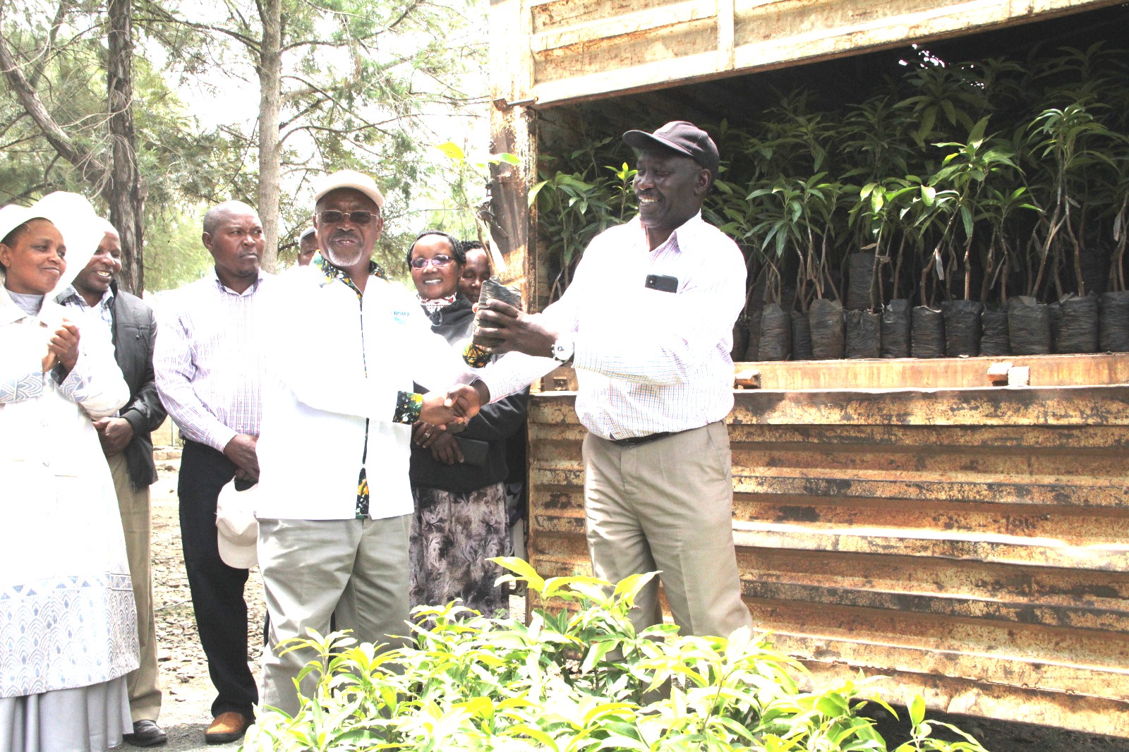NDMA partners with education institutions to plant trees - Education ...