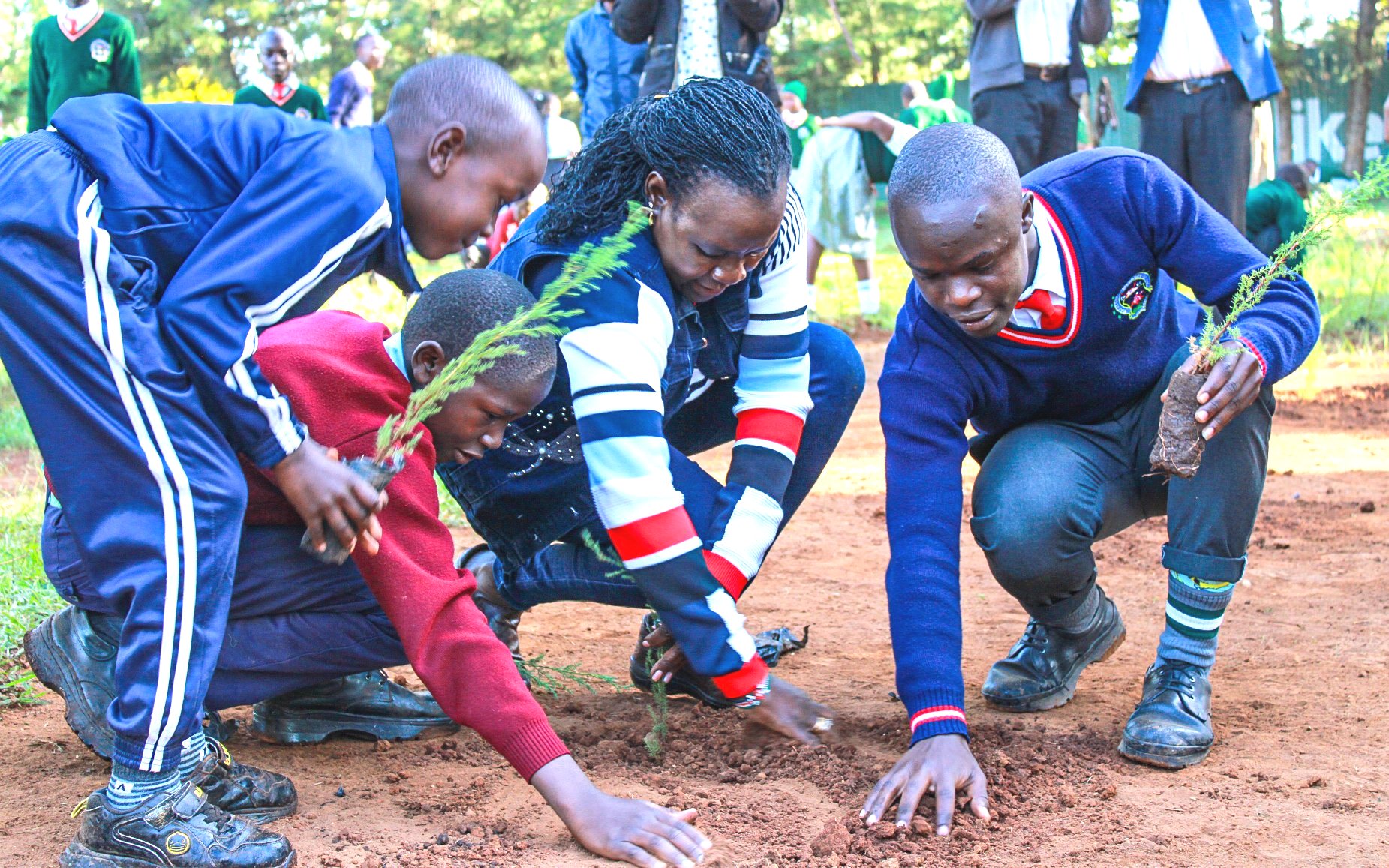 Schools urged to embrace environmentally-friendly practices | Education ...