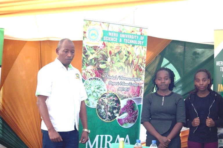 Meru varsity students get around Miraa ban with new khat products ...