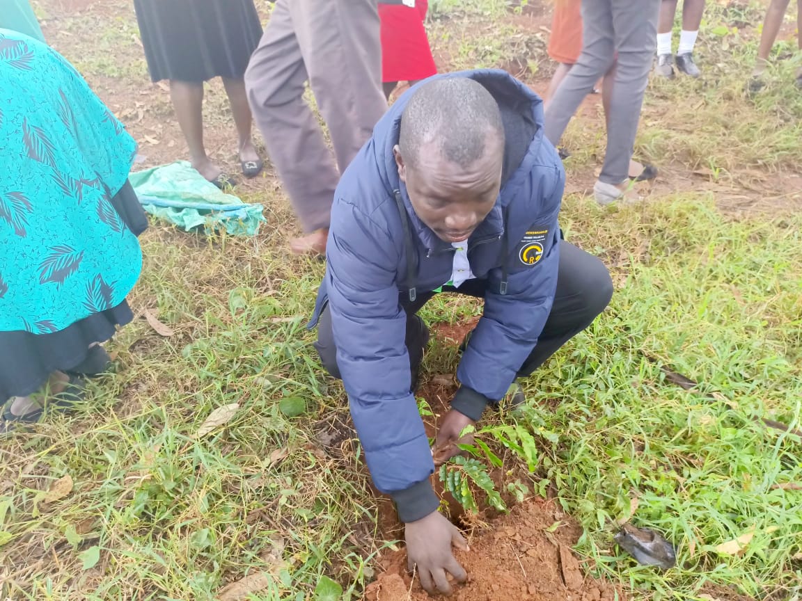 St Monica Kitale stretches the limits to plant over 1000 trees ...