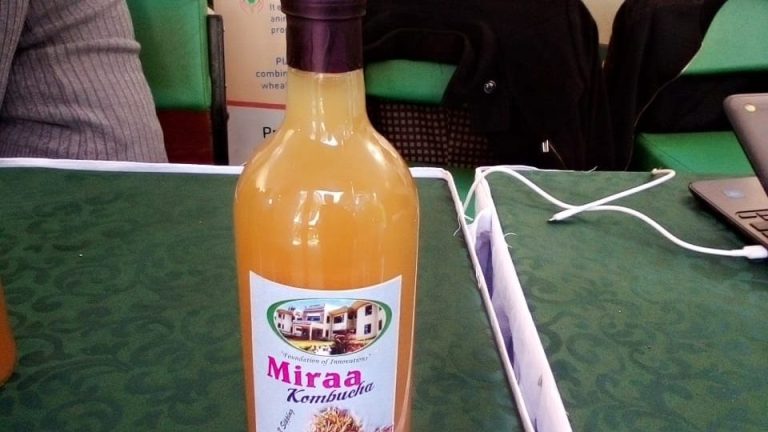 Meru varsity students get around Miraa ban with new khat products ...