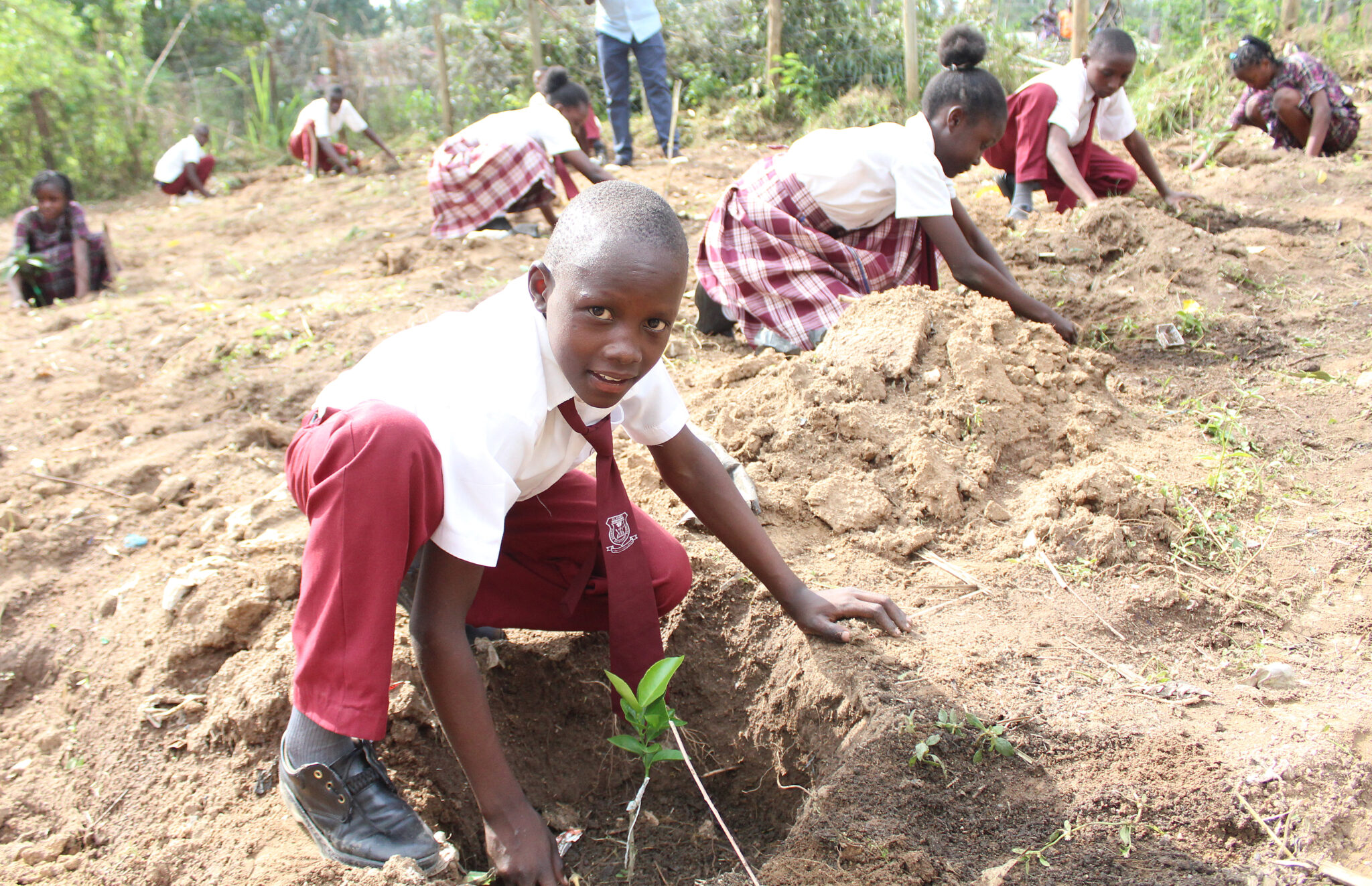 School, Charity Organization, hosts Environment CS for a tree planting ...